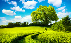 Best Sites To Enjoy Country Life | The Good Web Guide