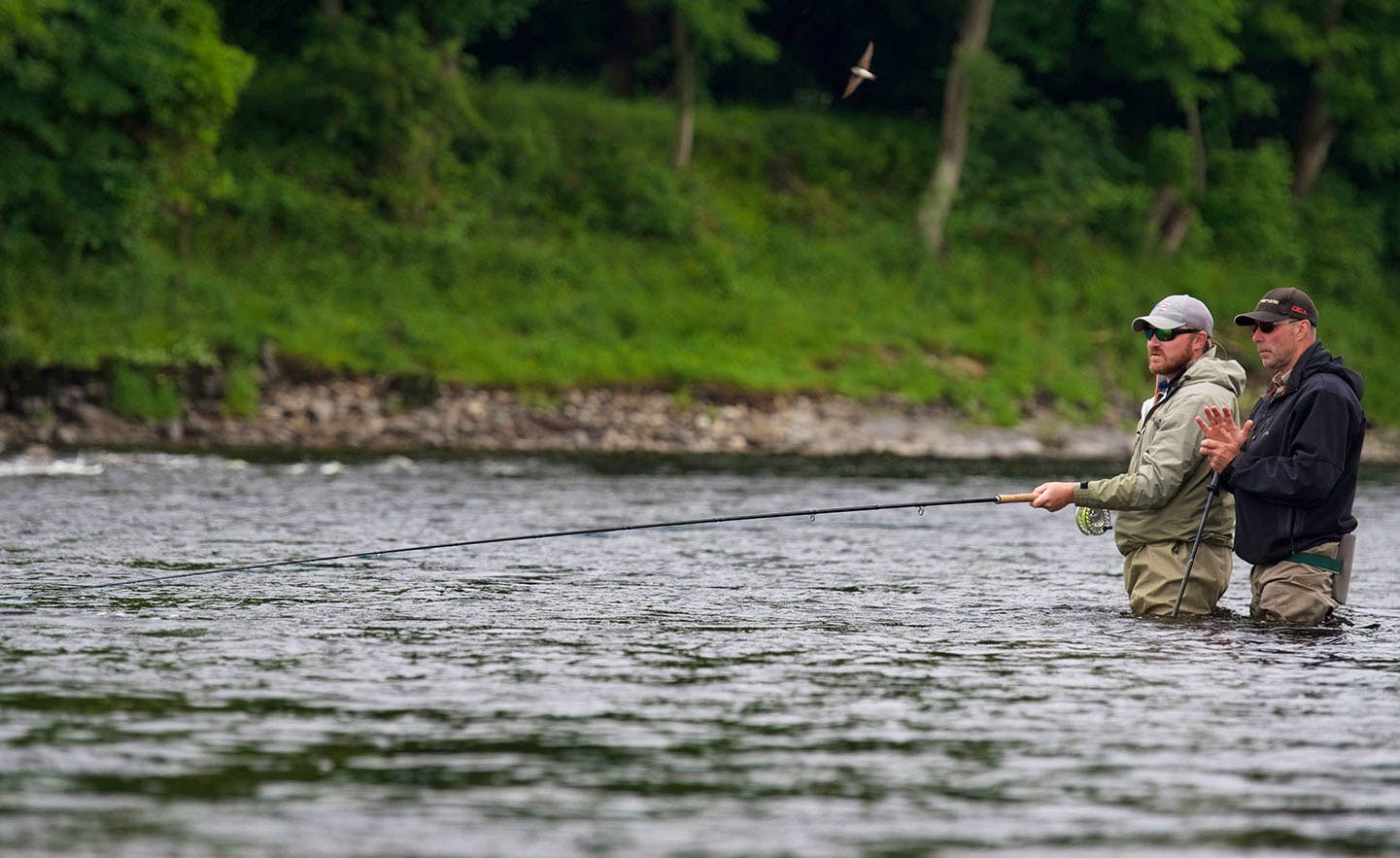 Review of Alba Game Fishing | The Good Web Guide