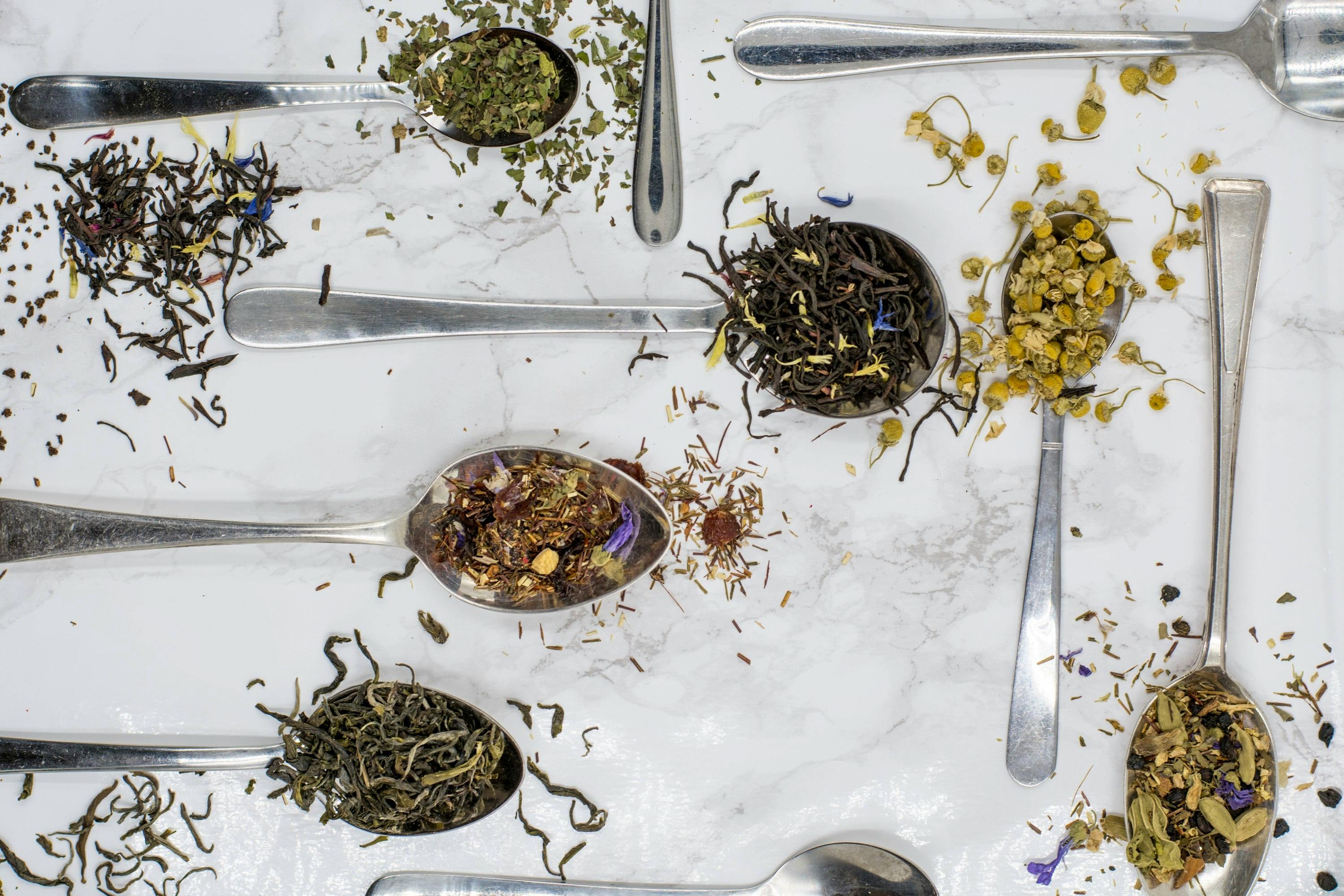6 Best High-End Tea Companies | The Good Web Guide