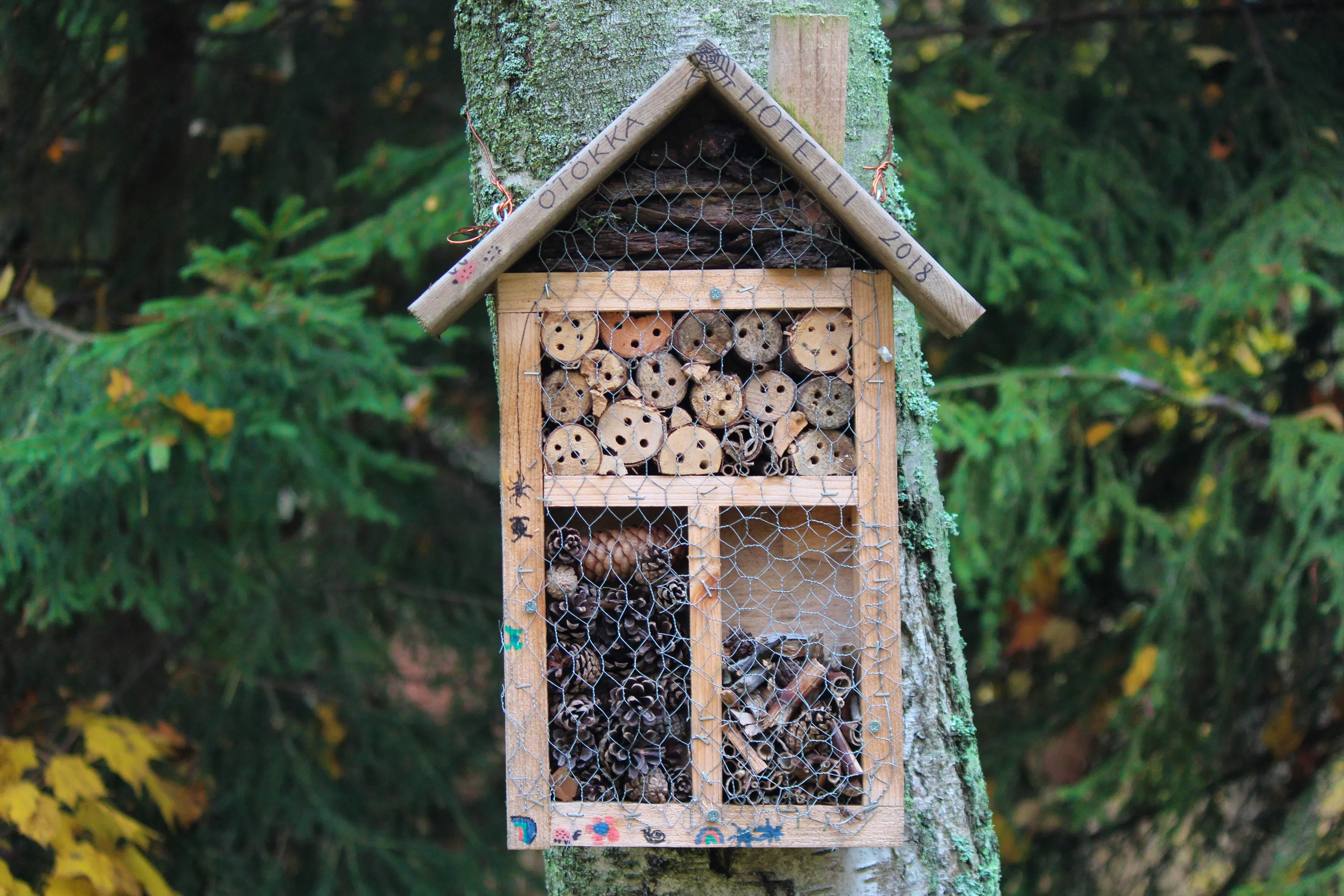 How To Make A Bug Hotel | The Good Web Guide