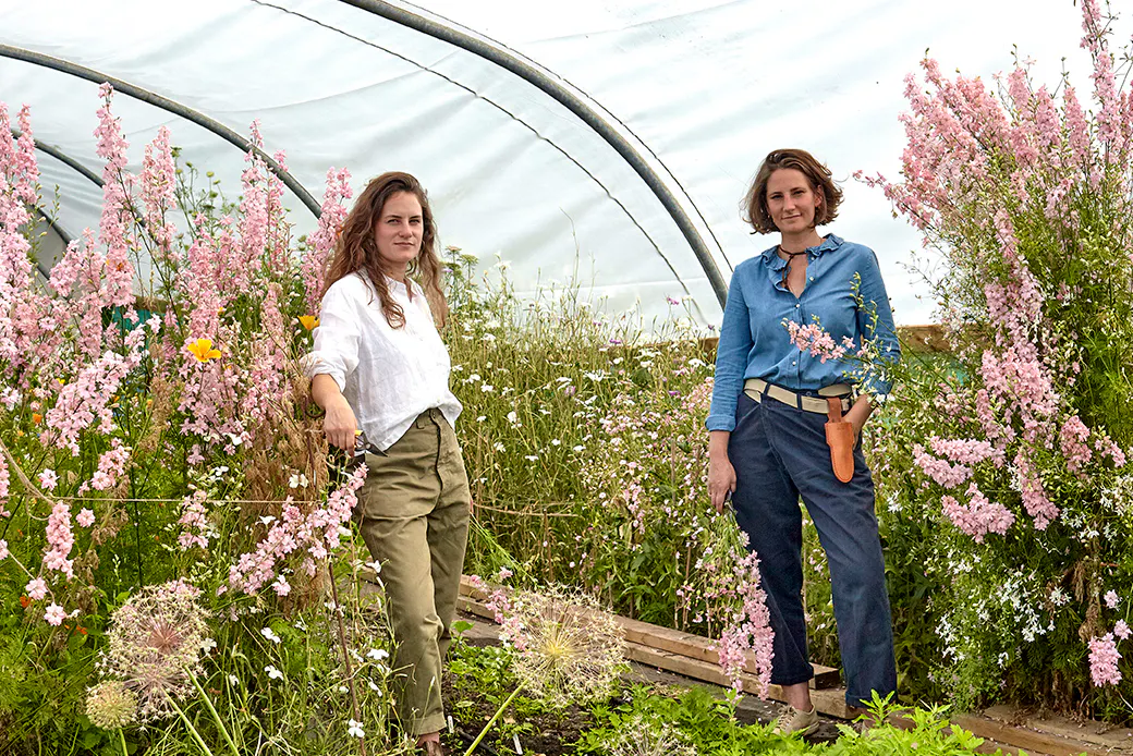 Jess Lister and Alexandra Nutting of Aesme | Good Web Guide