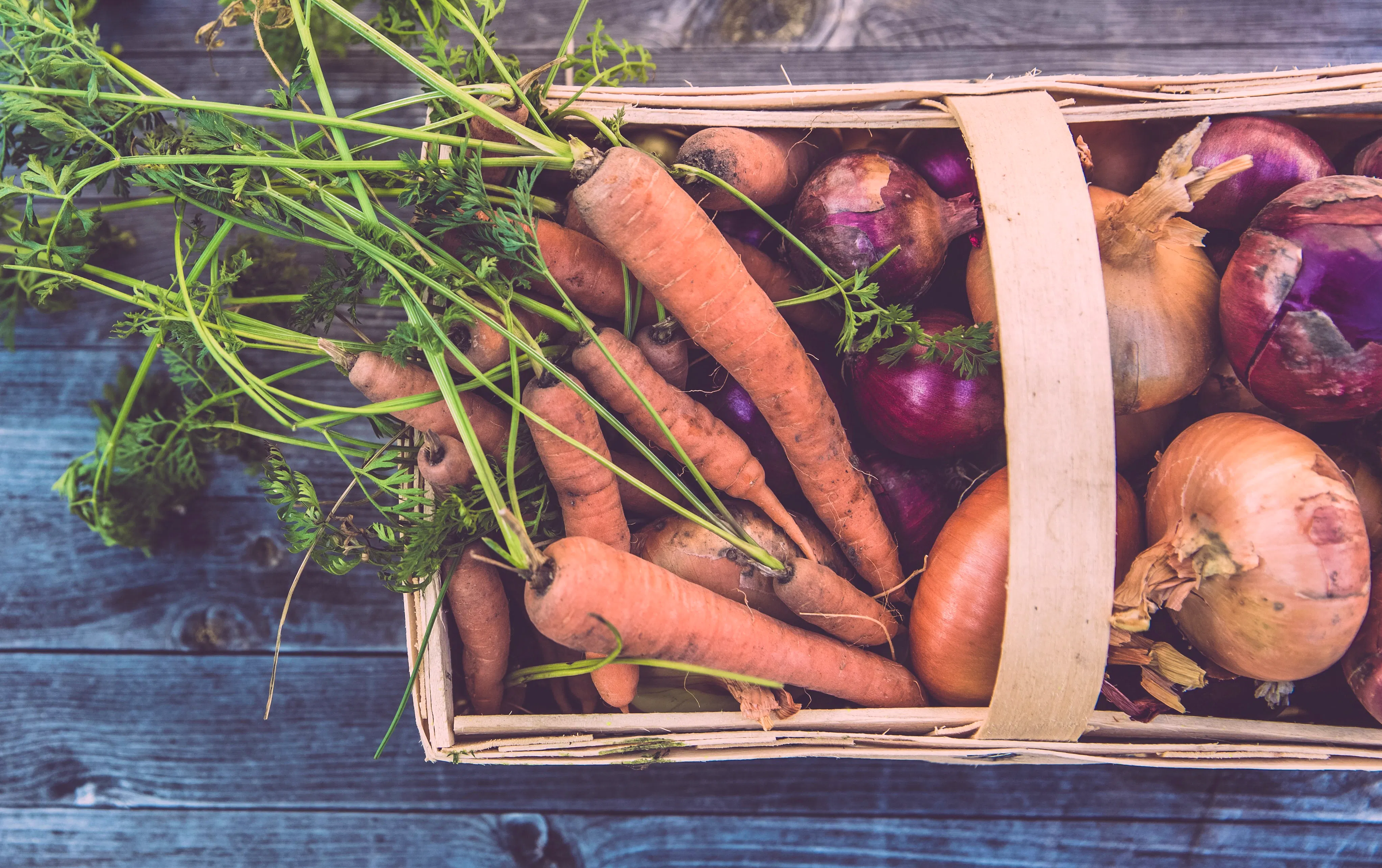 Six ‘Eating Seasonally’ Instagram Feeds | The Good Web Guide