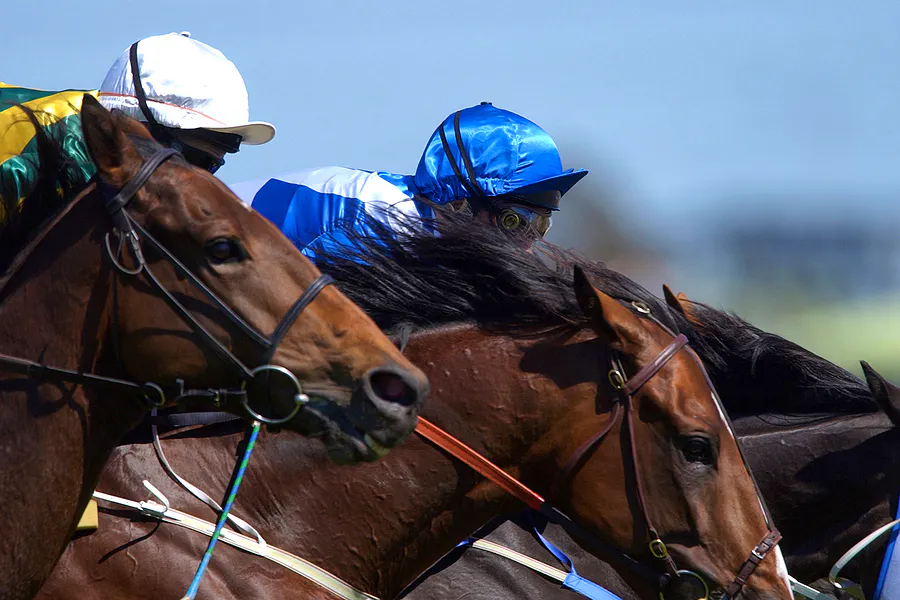 10 Things You Didn’t Know About The Grand National | The GWG