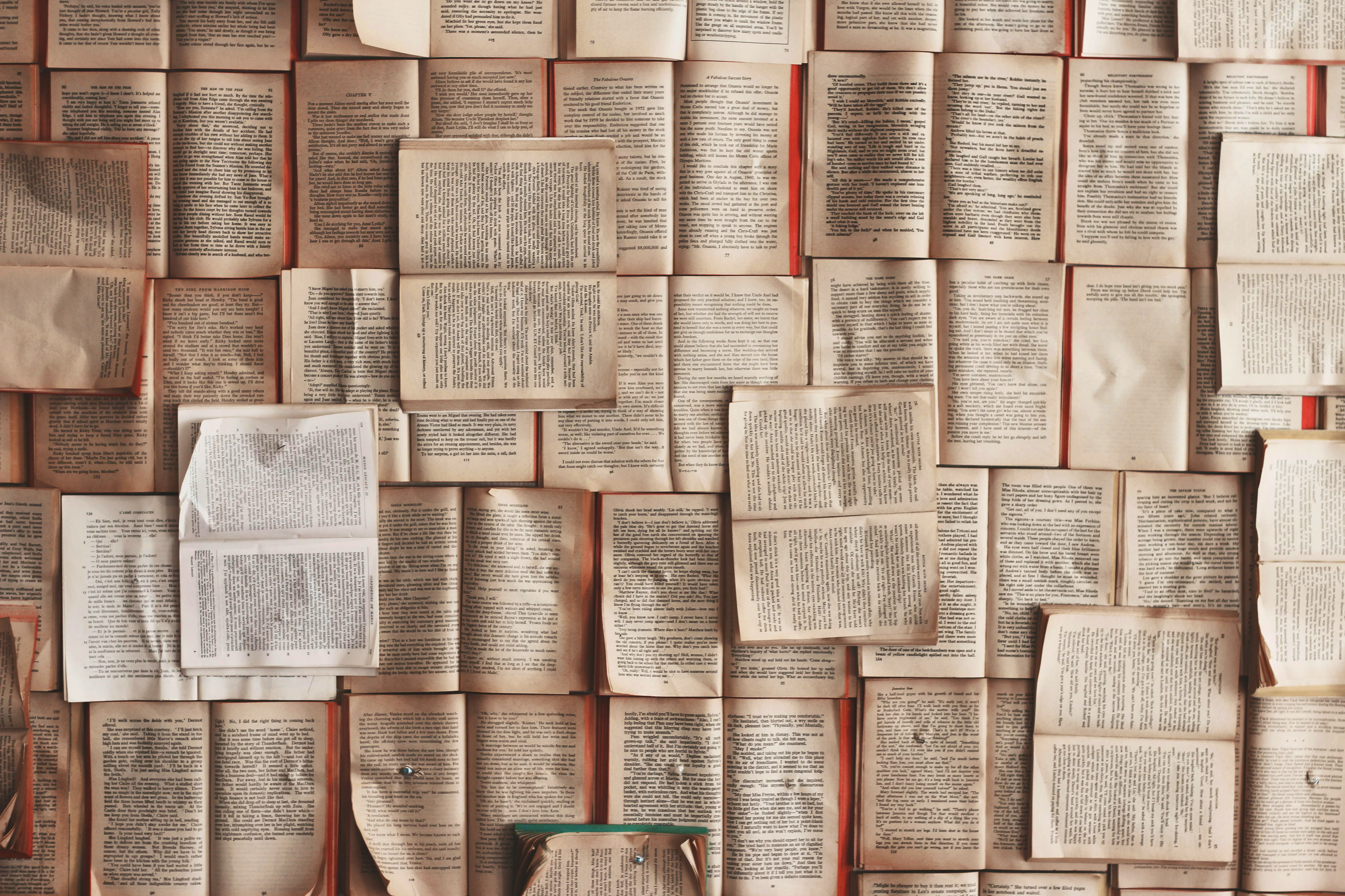5 Women Writers To Revisit Now | The Good Web Guide