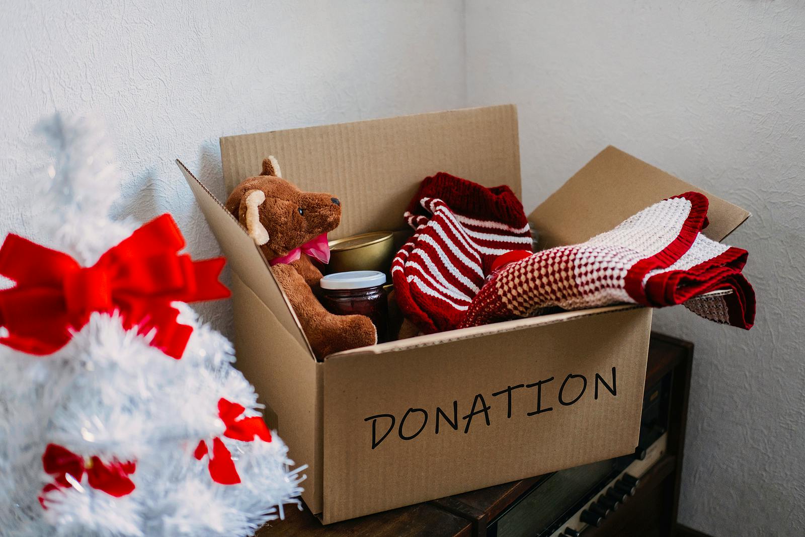 Goodwill To All: Worthy Charities to Support This Christmas