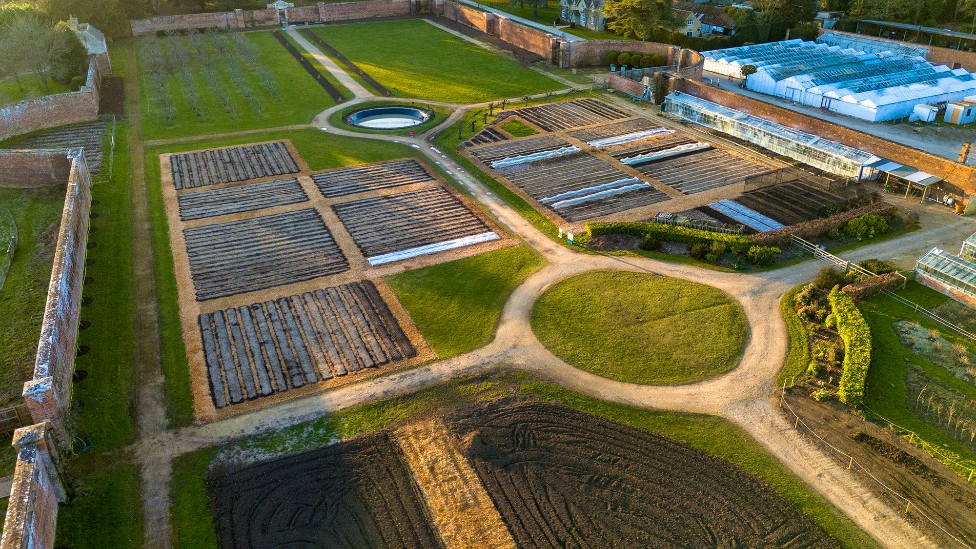 Harrison Fannon - Blenheim Palace’s Kitchen Gardener