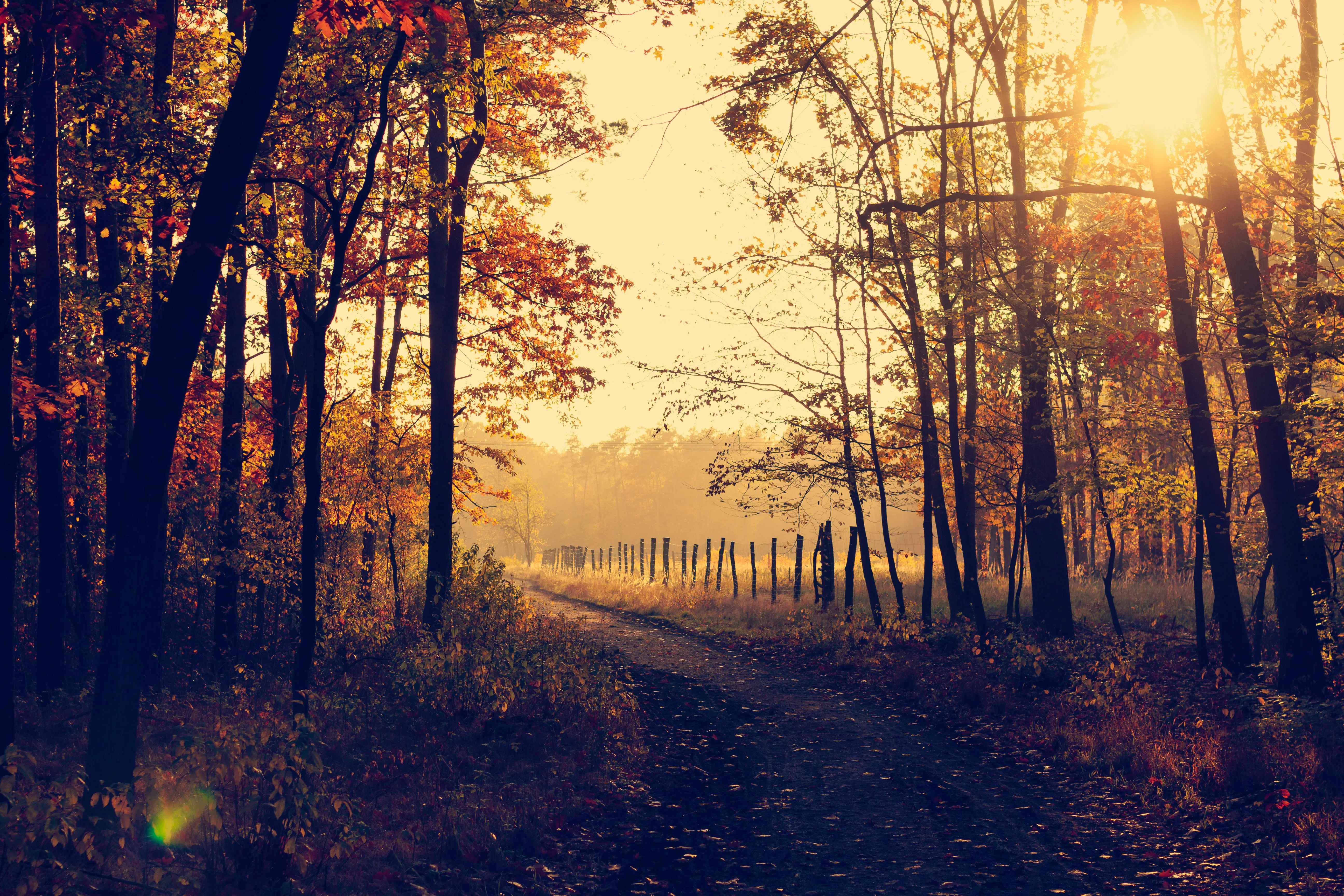 10 Things To Be Excited About This Autumn